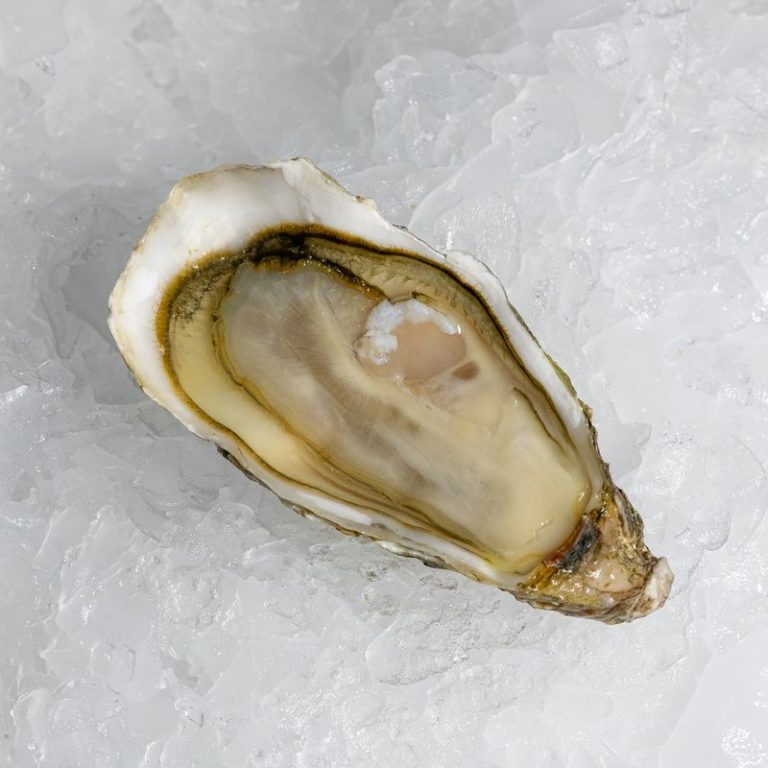 Spéciale Ostra-Régal - Roger Coquillages - Écailler et dégustation de ...